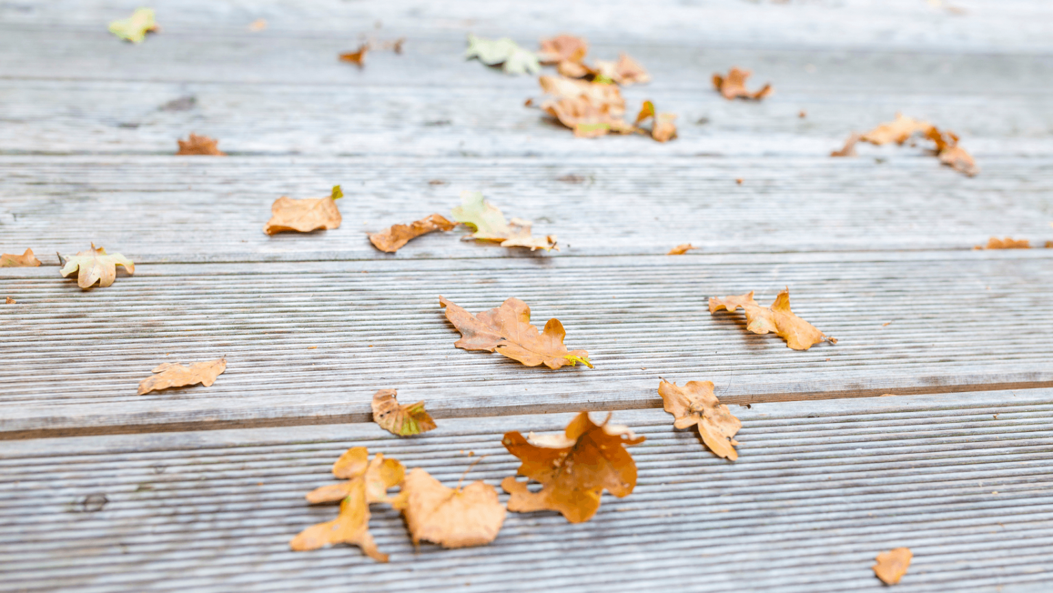 Layering Doormats for Fall: How To Guide - Living Letter Home